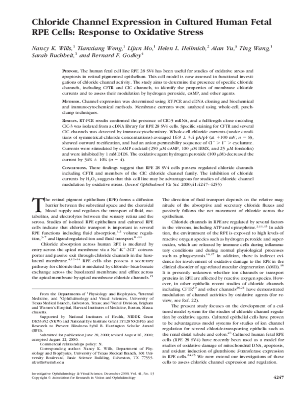 (PDF) Chloride Channel Expression in Cultured Human Fetal RPE Cells ...