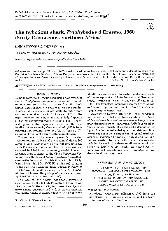 (PDF) The hybodont shark Priohybodus d’Erasmo, 1960 (Early Cretaceous ...