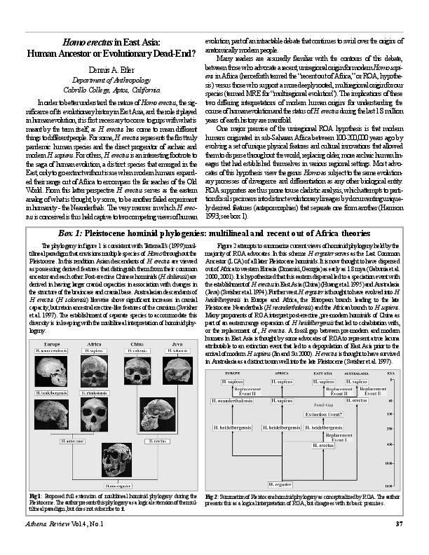(PDF) Homo erectus in East Asia: Human Ancestor or Evolutionary Dead-End?