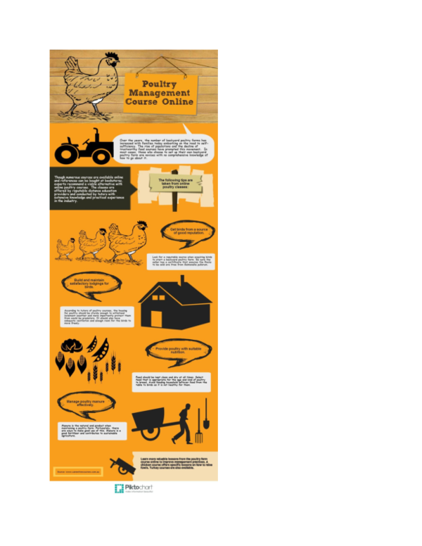 (PDF) Poultry Management