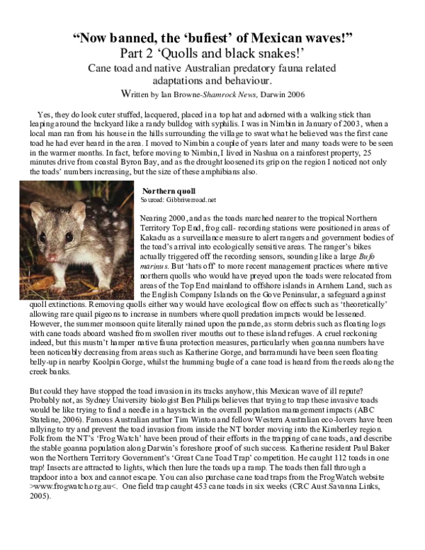 (PDF) Cane toads, black snakes and carnivorous marsupial Quolls