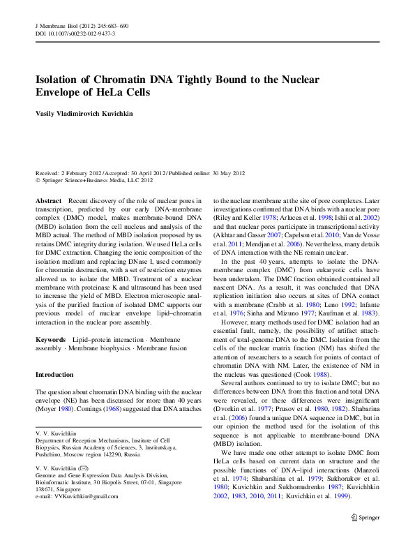 (PDF) Isolation of Chromatin DNA Tightly Bound to the Nuclear Envelope of HeLa Cells