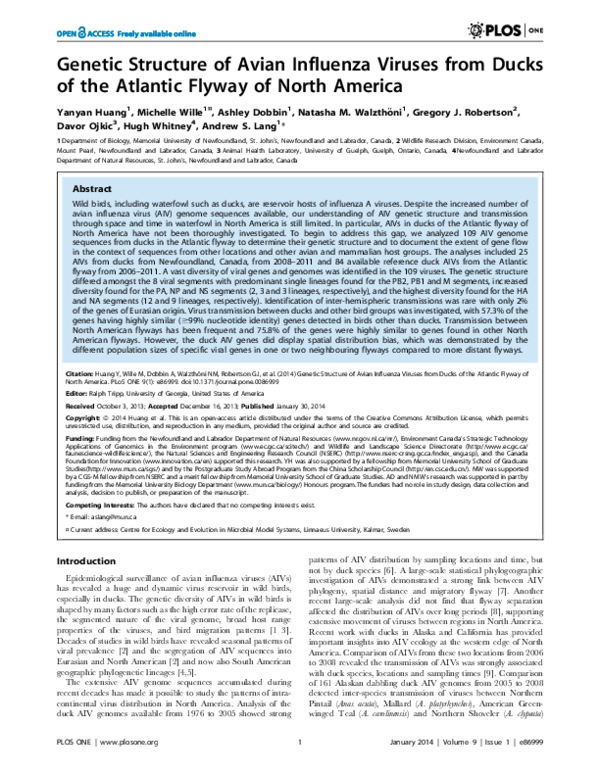 Genetic Structure of Avian Influenza Viruses from Ducks of the Atlantic ...