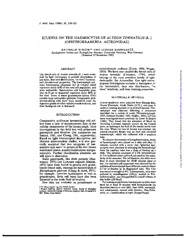 (PDF) 1986. Studies on the haemocytes of Acteon tornatilis (L ...