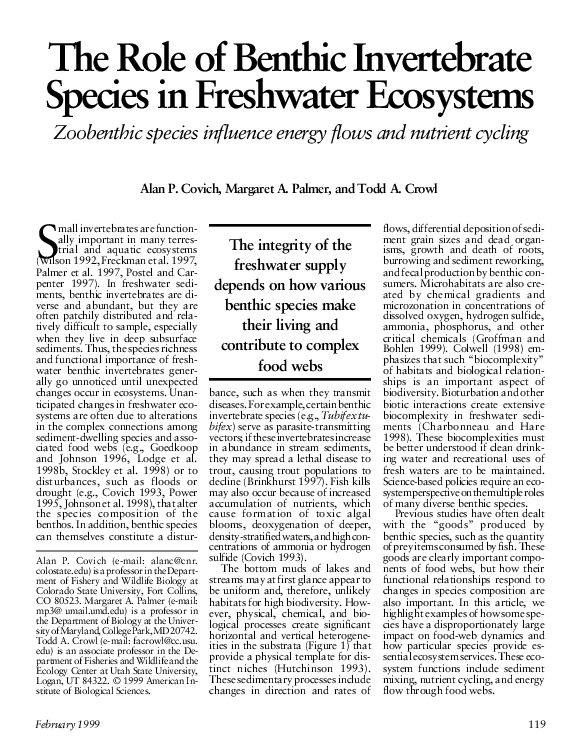 (PDF) The Role of Benthic Invertebrate Species in Freshwater Ecosystems ...