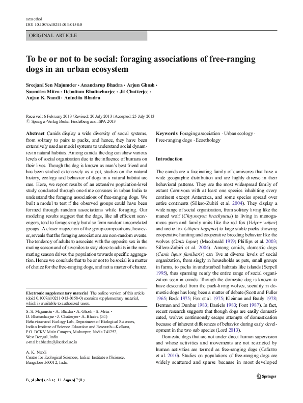 (PDF) To be or not to be social: foraging associations of free-ranging ...