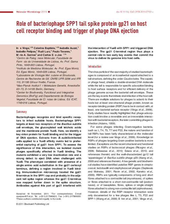 (PDF) Role of bacteriophage SPP1 tail spike protein gp21 on host cell ...