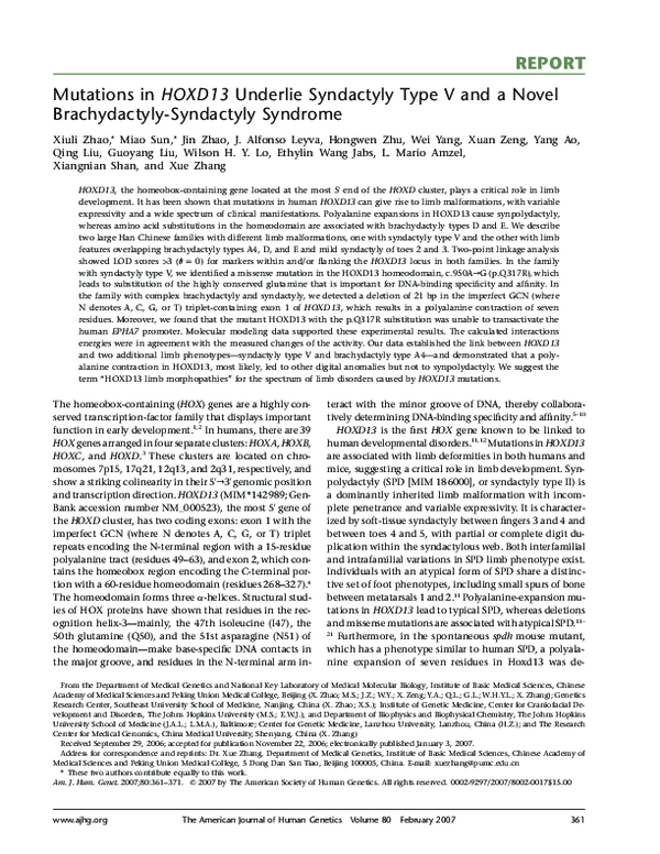 (PDF) REPORT Mutations in HOXD13 Underlie Syndactyly Type V and a Novel ...