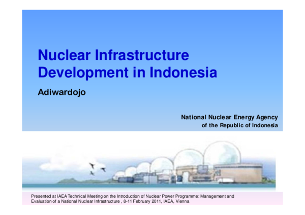 (PDF) Nuclear Infrastructure Development in Indonesia National Nuclear ...