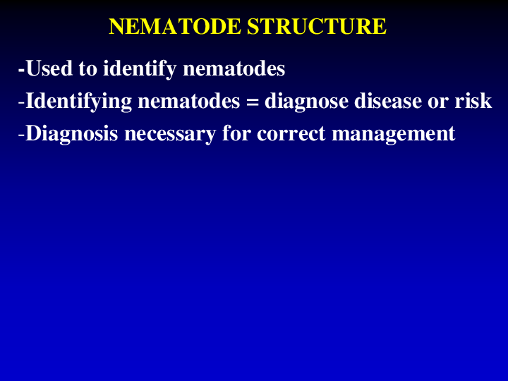 (PDF) NEMATODE STRUCTURE -Used to identify nematodes -Identifying ...