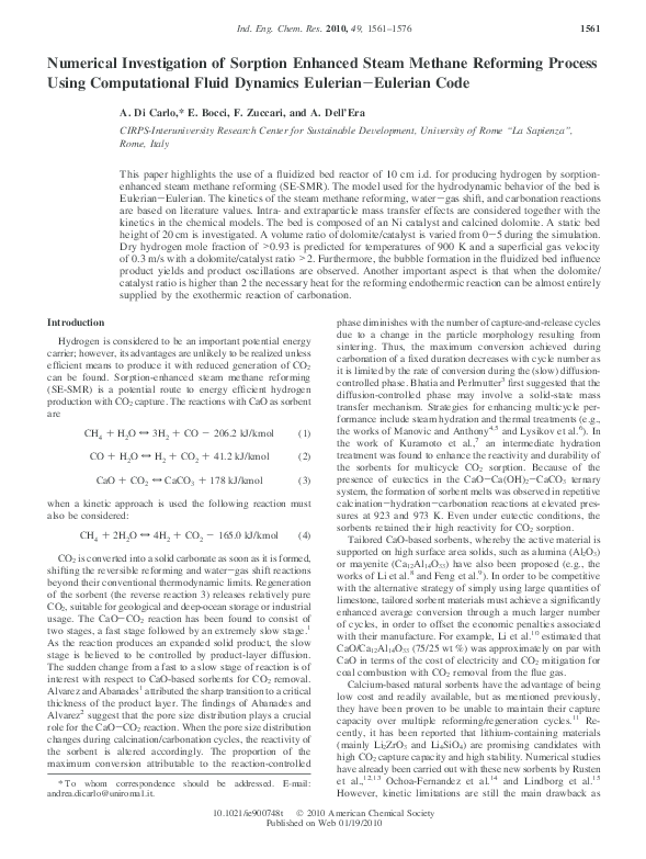 Numerical Investigation of Sorption Enhanced Steam Methane Reforming ...