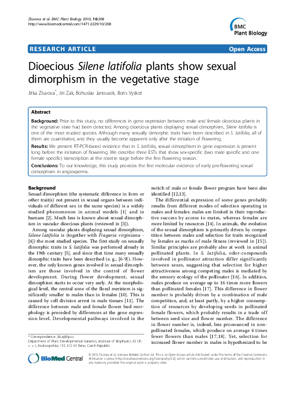 (PDF) Dioecious Silene latifolia plants show sexual dimorphism in the ...