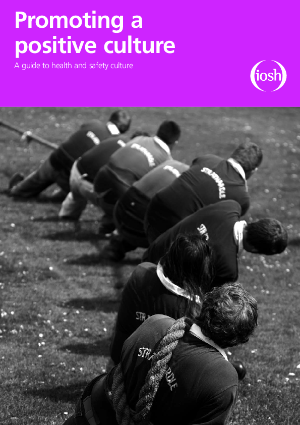 (PDF) Promoting a positive culture
