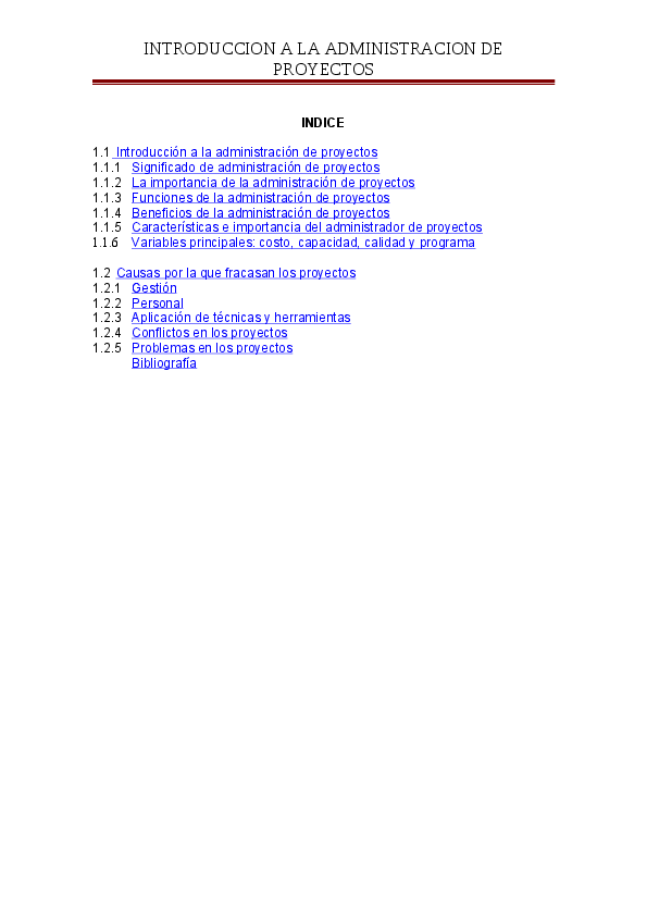 (DOC) importancia de administracion de proyectos