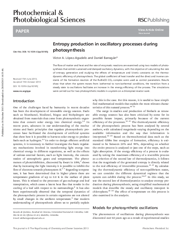 (PDF) Entropy production in oscillatory processes during photosynthesis