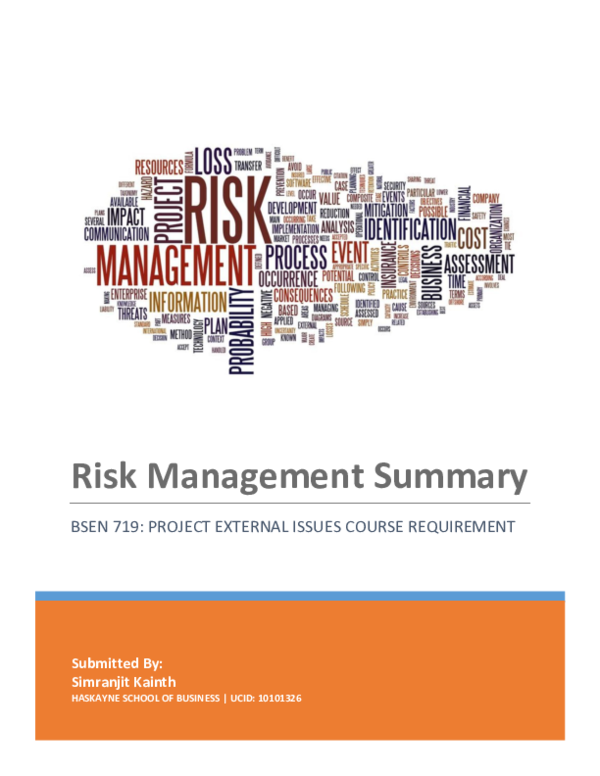 (DOC) Risk Management Paper