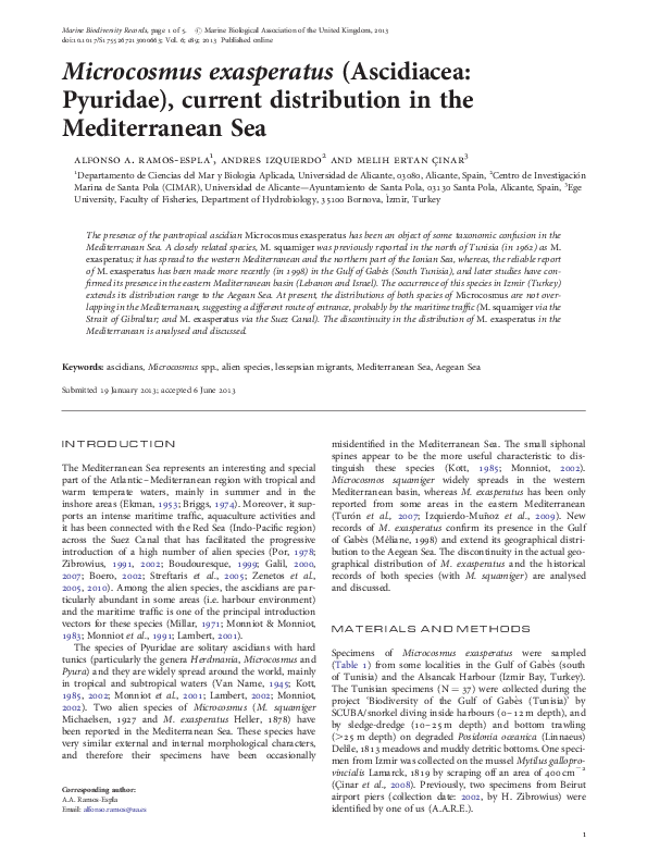 (PDF) Microcosmus exasperatus (Ascidiacea: Pyuridae), current ...