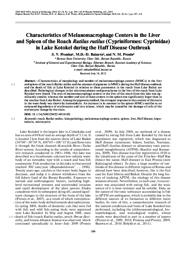 (PDF) Characteristics of Melanomacrophage Centers in the Liver and ...