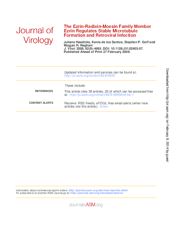 (PDF) The Ezrin-Radixin-Moesin Family Member Ezrin Regulates Stable ...