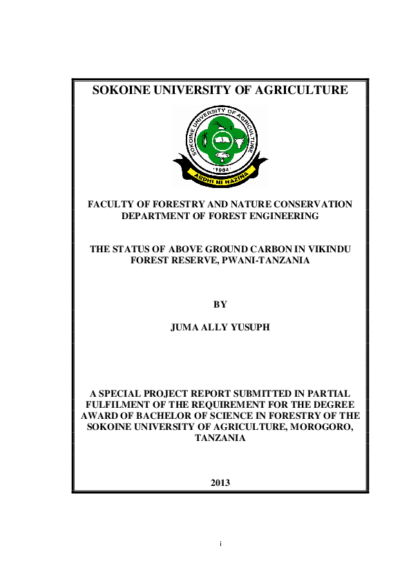 (PDF) ALLY JUMA FINAL REPORT PRINTED FOR THE LAST