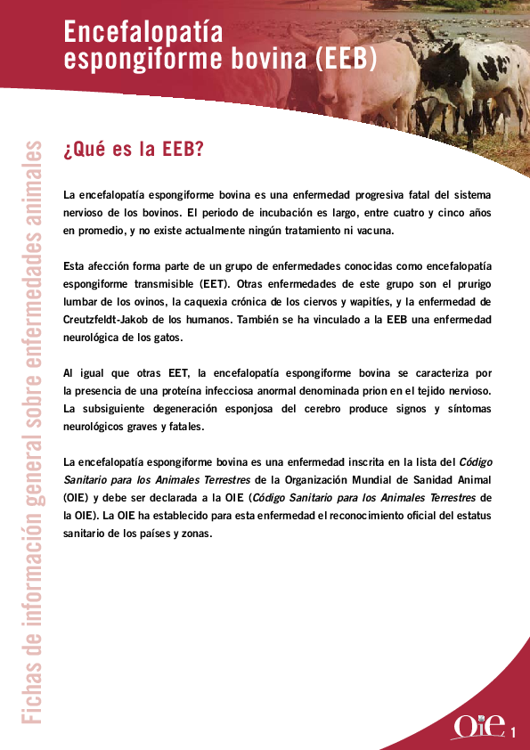 (PDF) Qué es la EEB