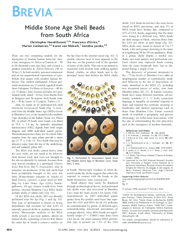(PDF) Middle Stone Age Shell Beads from South Africa