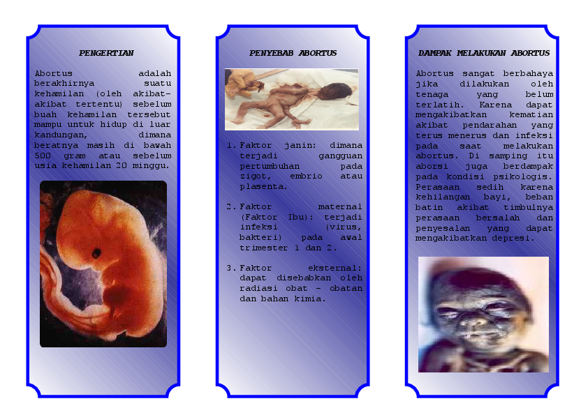 (DOC) Abortus Leaflet