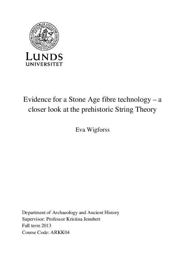 (PDF) Evidence for a Stone Age fibre technology