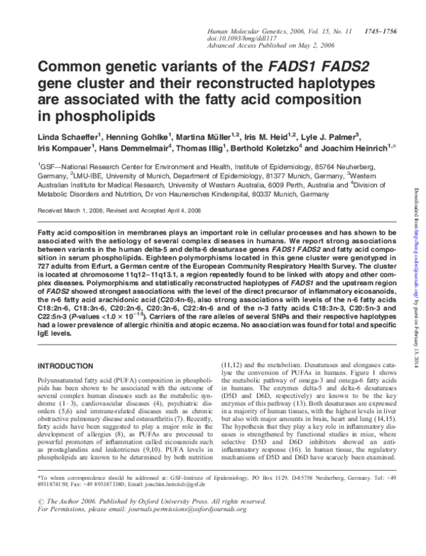(PDF) Common genetic variants of the FADS1 FADS2 gene cluster and their reconstructed haplotypes ...