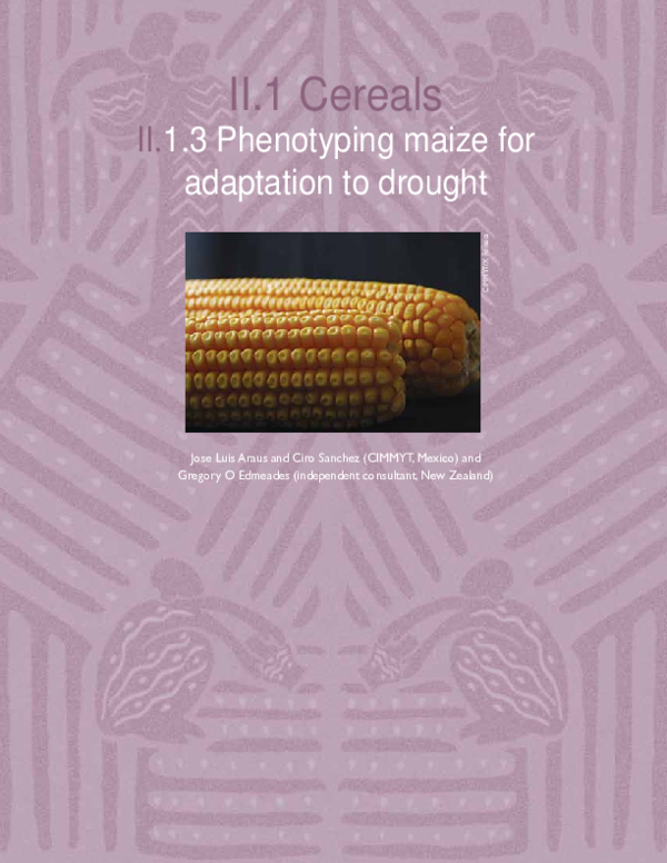 (PDF) Phenotyping maize for adaptation to drought
