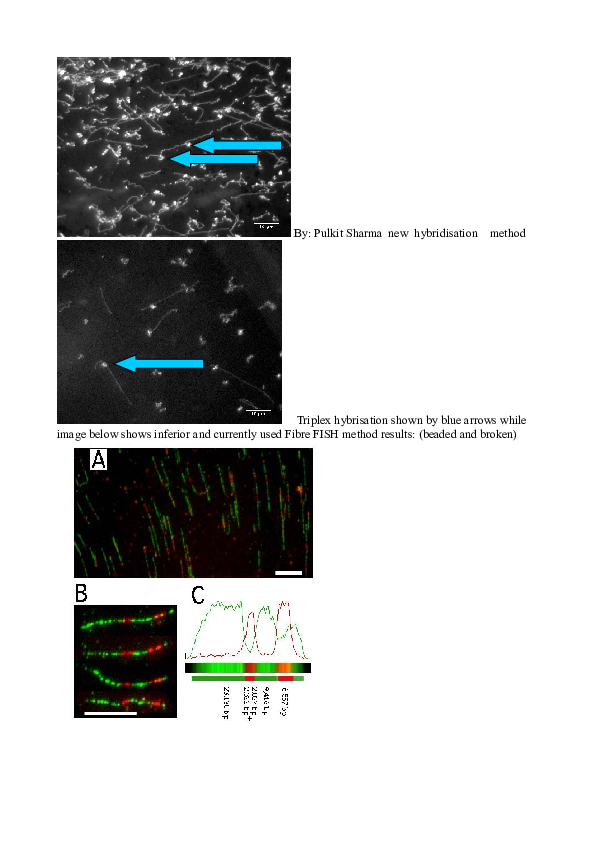 (PDF) Triplex DNA hybridization: The future of DNA FISH