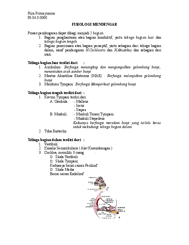 (DOC) Proses mendengar