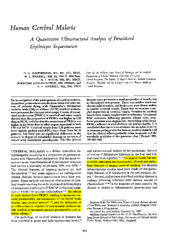 (PDF) Mac Pherson 1985 human Cerbral Malaria A Quantative Ultrastructural Analysis of Parsitized ...