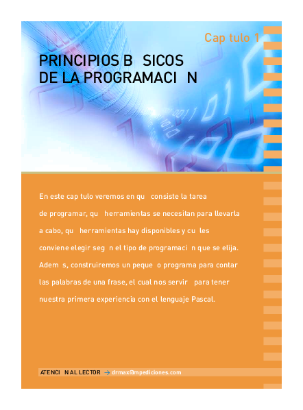 (PDF) PRINCIPIOS BÁSICOS DE LA PROGRAMACIÓN