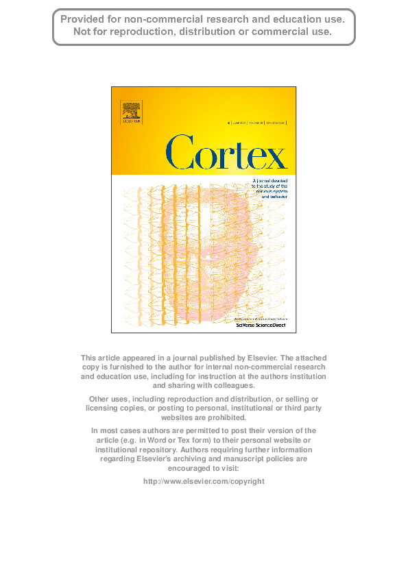 (PDF) Complex visual hallucinations after occipital extrastriate ...