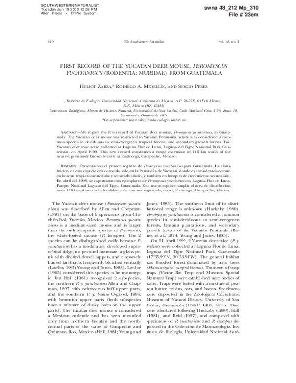 (PDF) FIRST RECORD OF THE YUCATAN DEER MOUSE, PEROMYSCUS YUCATANICUS ...