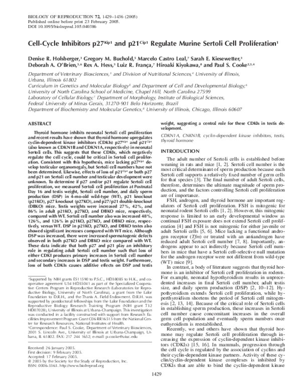 (PDF) Cell-cycle inhibitors p27Kip1 and p21Cip1 regulate murine Sertoli ...