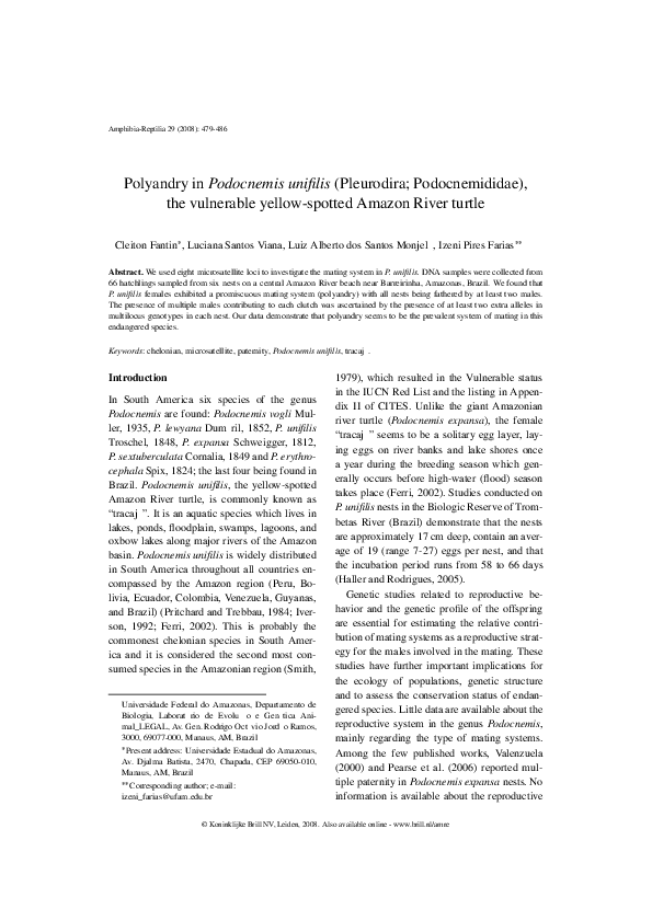 (PDF) Polyandry in Podocnemis unifilis (Pleurodira; Podocnemididae ...