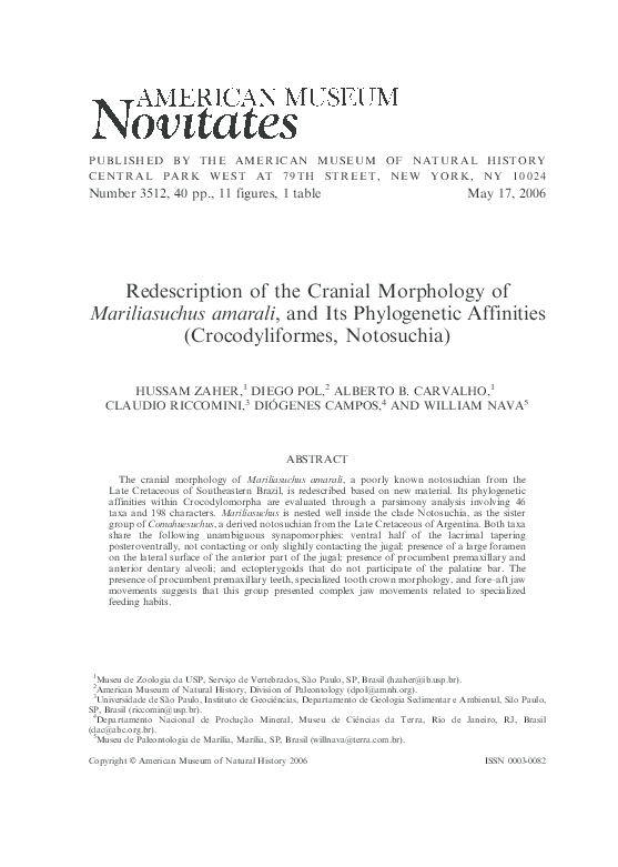 Redescription of the Cranial Morphology of Mariliasuchus Amarali, and ...