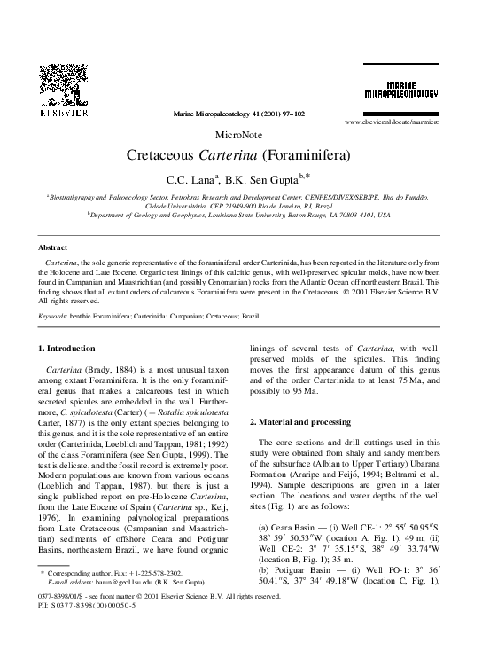 (PDF) Cretaceous Carterina (Foraminifera