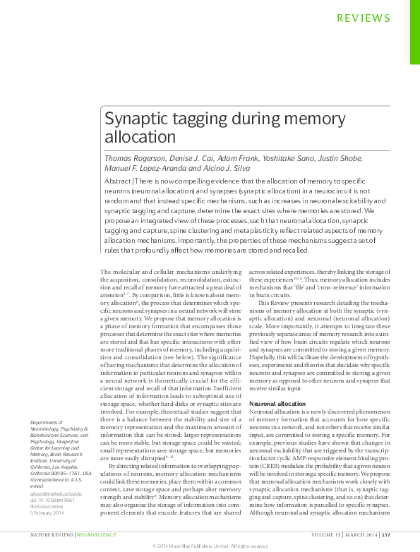 (PDF) Synaptic tagging during memory allocation
