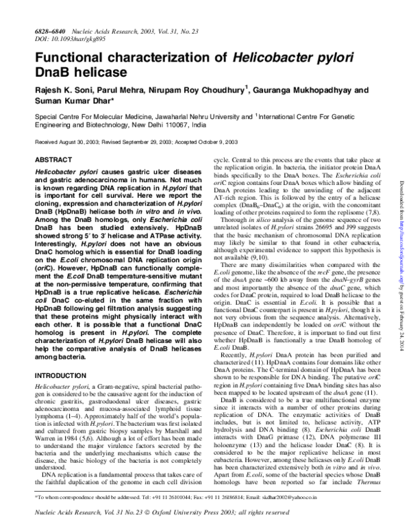 (PDF) Functional characterization of Helicobacter pylori DnaB helicase