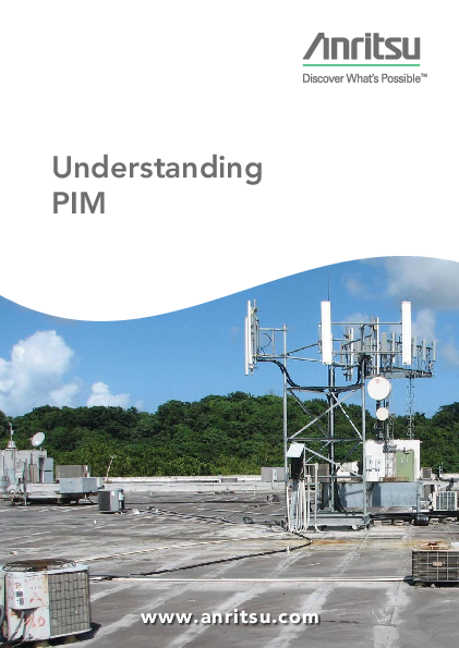 (PDF) Understanding PIM