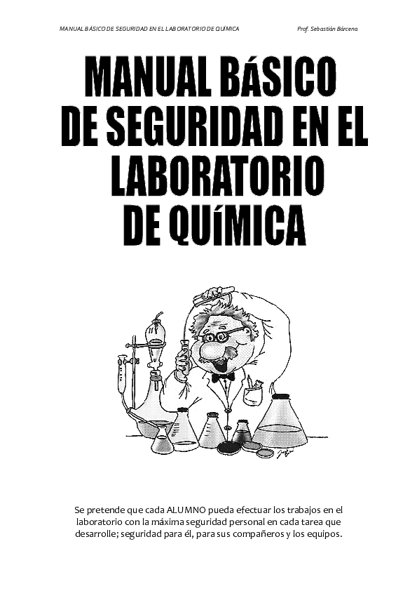 (PDF) MANUAL BÁSICO DE SEGURIDAD EN EL LABORATORIO DE QUÍMICA