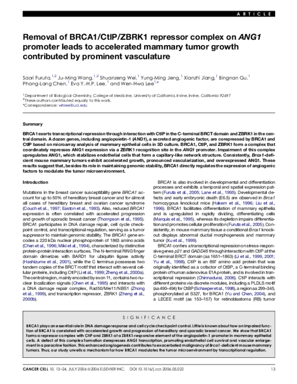 (PDF) Removal of BRCA1/CtIP/ZBRK1 repressor complex on ANG1 promoter ...