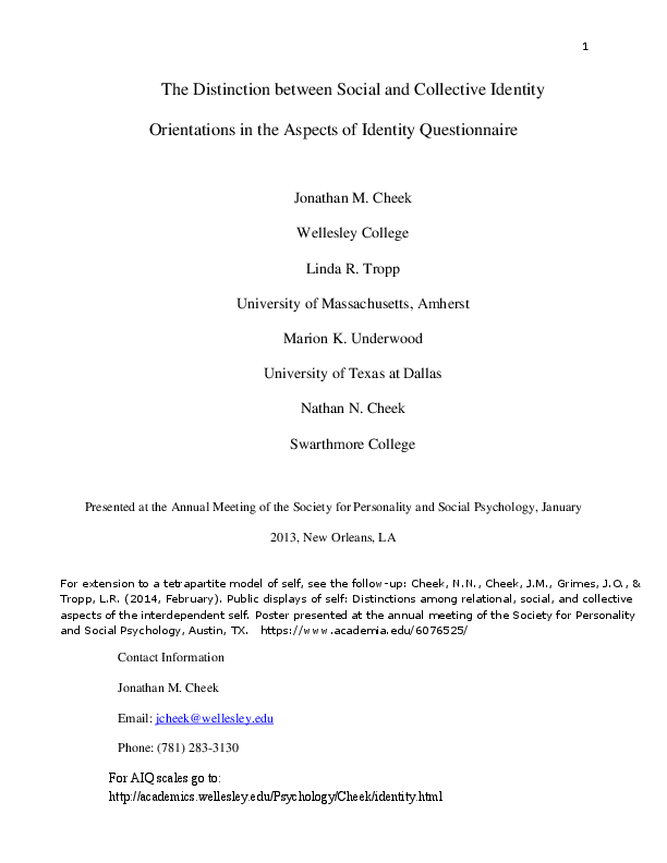 (PDF) The distinction between social and collective identity ...