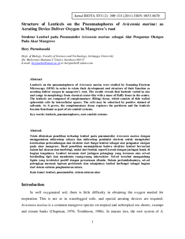 (PDF) Structure of Lenticels on the Pneumatophores of Avicennia marina ...