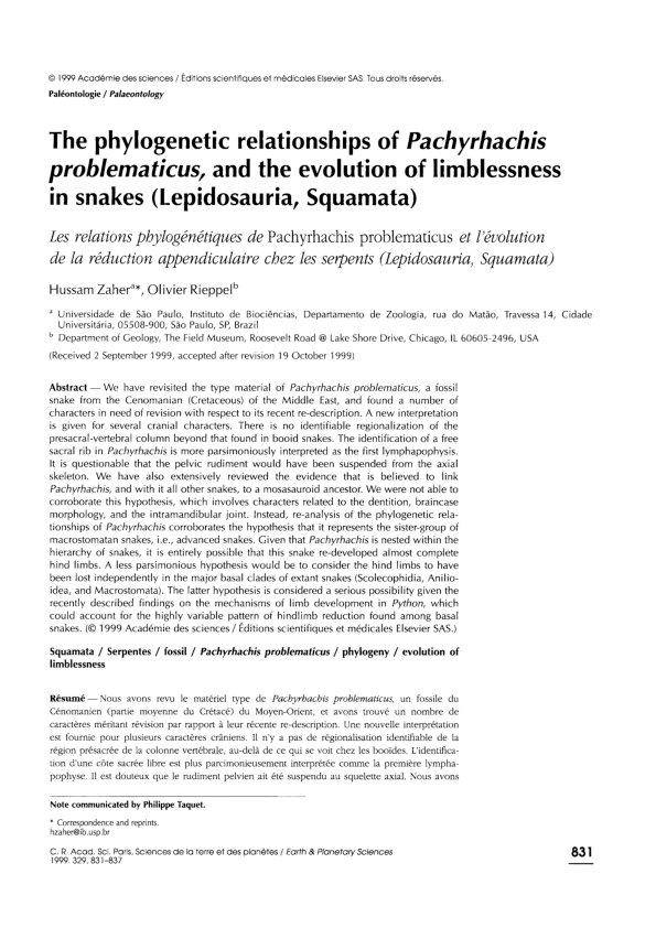 The phylogenetic relationships of Pachyrhachis problematicus, and the ...