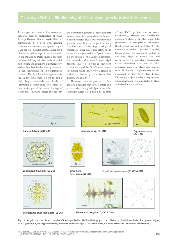 (PDF) Okavango Delta - Biodiversity of Microalgae, precious invisible ...
