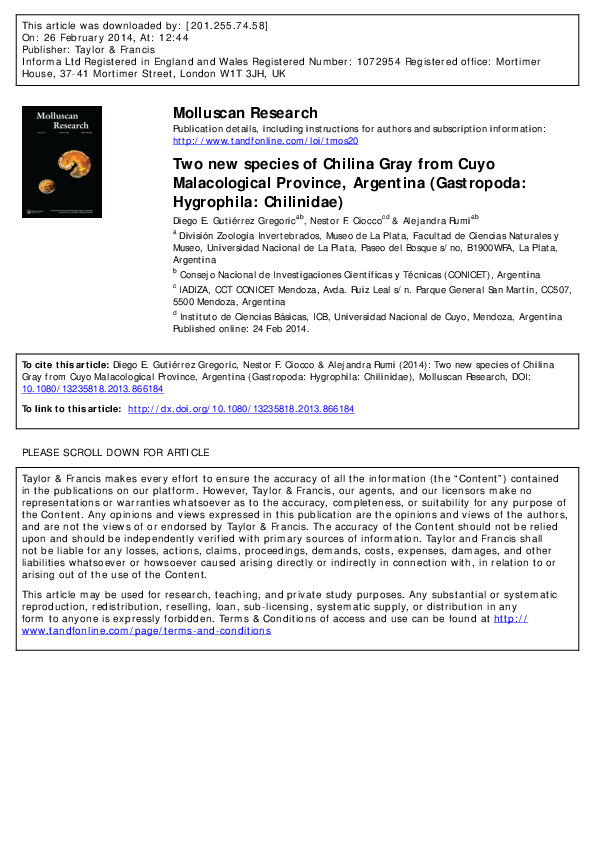 Two new species of Chilina Gray from Cuyo Malacological Province ...